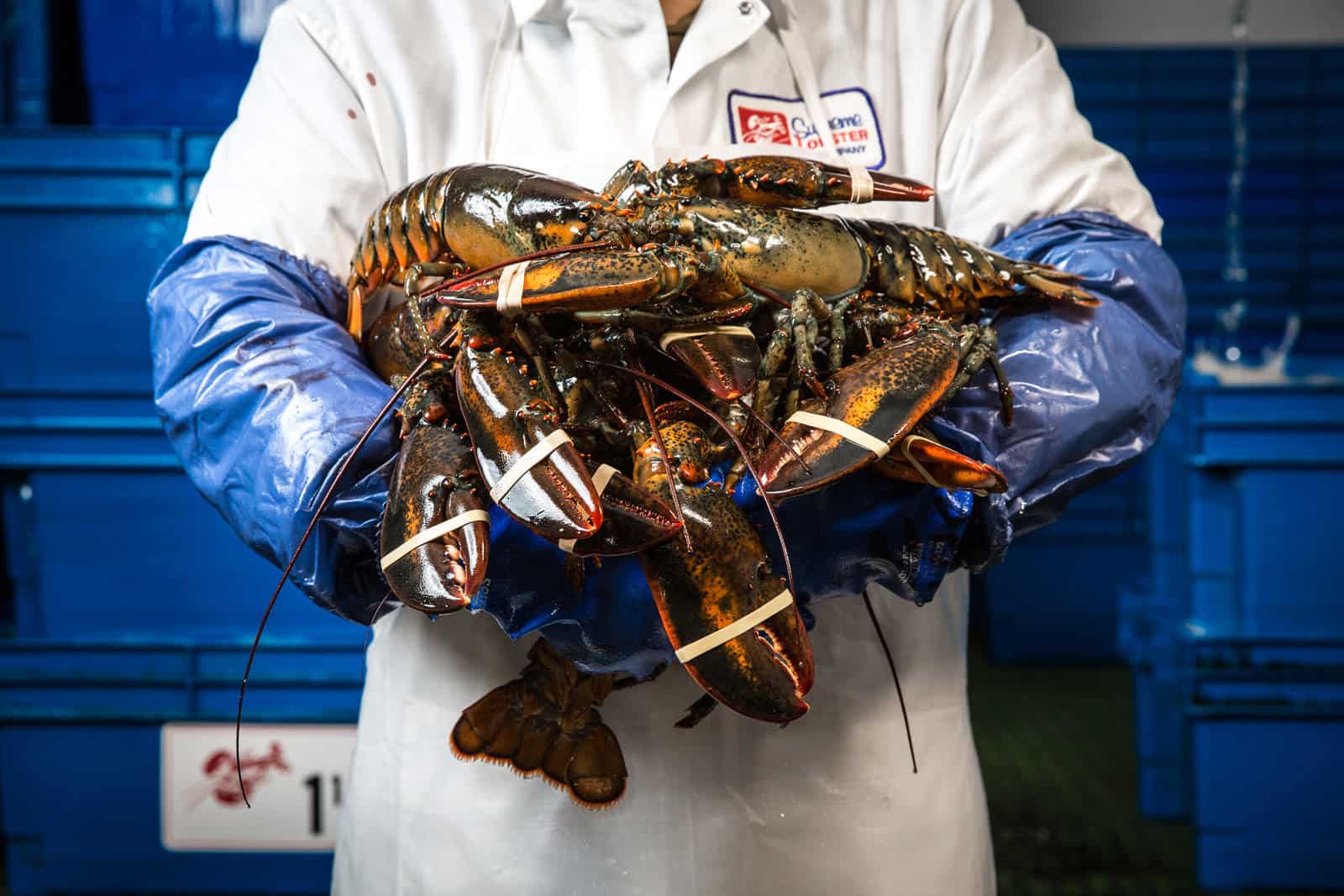 Supreme Lobster - We go to great depths for you!