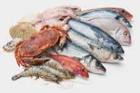 Supreme Lobster - We go to great depths for you!